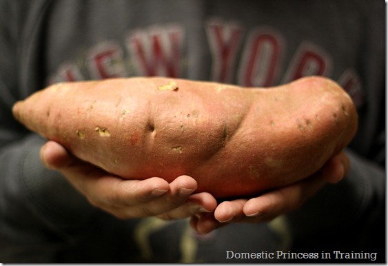 NEW BLOG AT www.hangingwiththehuies.com: The Largest Sweet Potato in ...